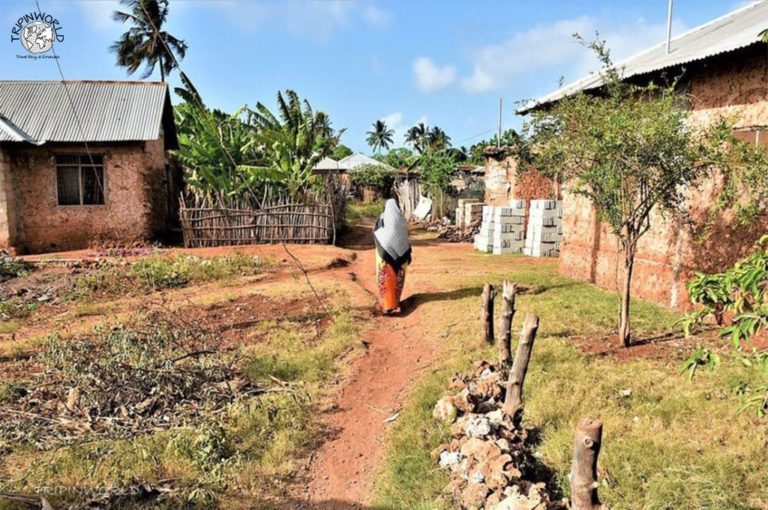 Makunduchi Zanzibar: visita al villaggio - TRIPINWORLD