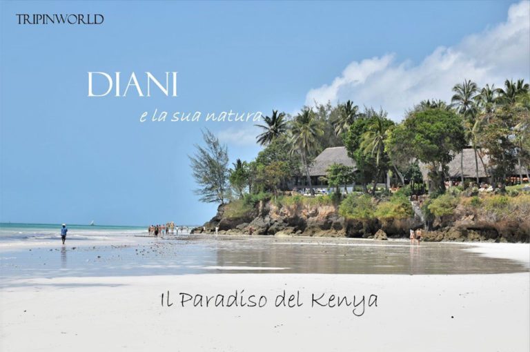 Diani beach: il paradiso tropicale del Kenya - TRIPINWORLD