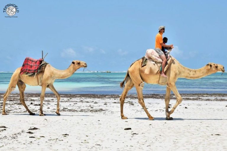 Diani beach: il paradiso tropicale del Kenya - TRIPINWORLD