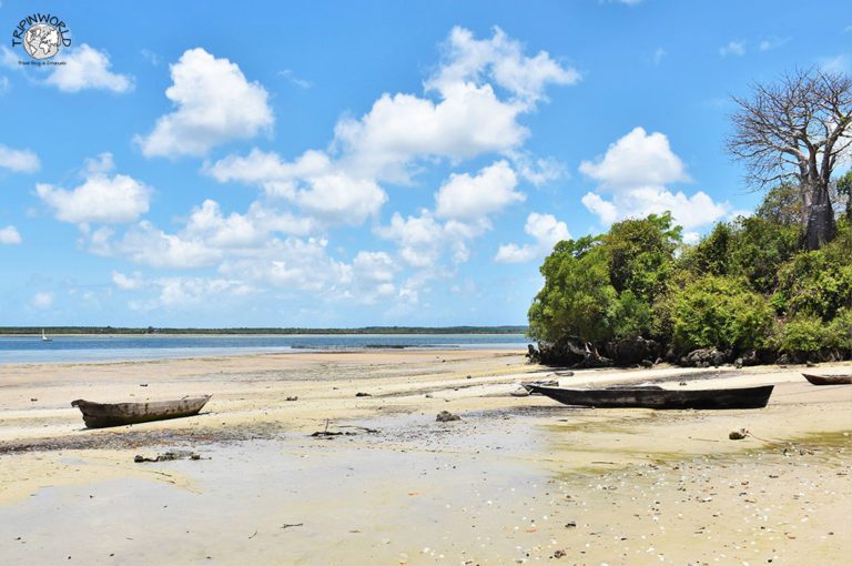 Uzi island Zanzibar: isola incontaminata - TRIPINWORLD