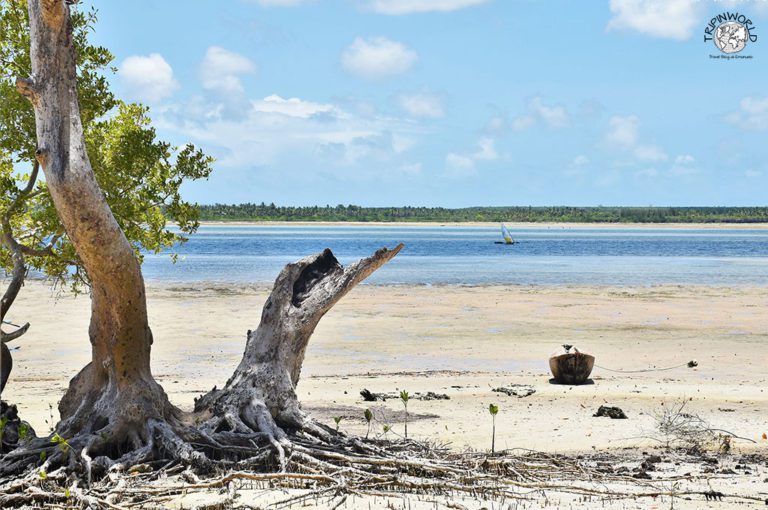 Uzi island Zanzibar: isola incontaminata - TRIPINWORLD