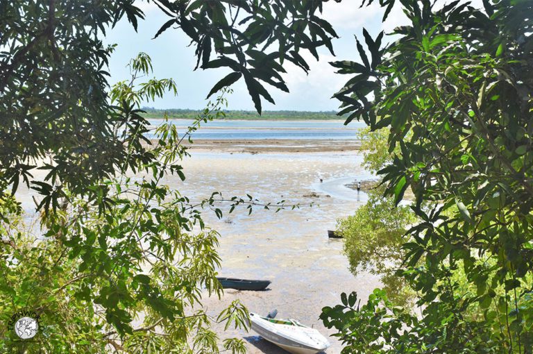 Uzi island Zanzibar: isola incontaminata - TRIPINWORLD
