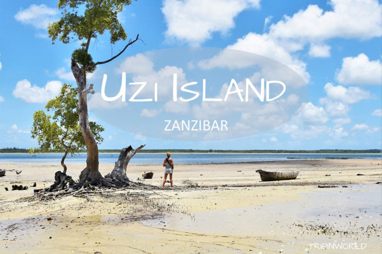Uzi island Zanzibar: isola incontaminata - TRIPINWORLD