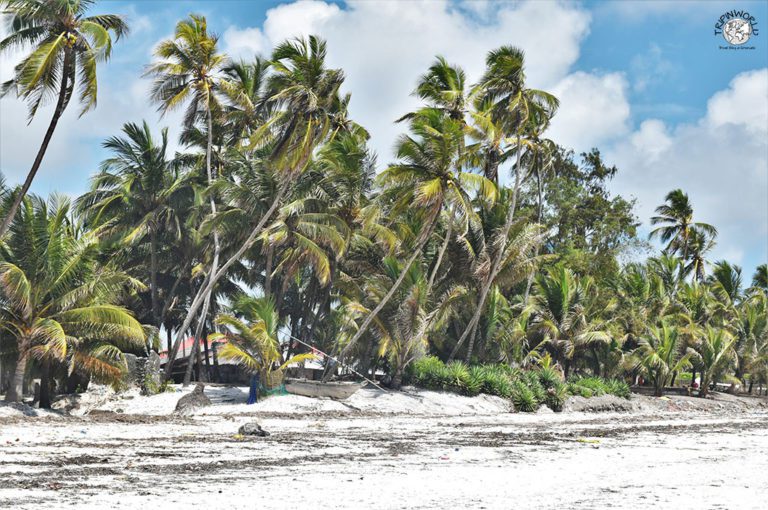 Matemwe Zanzibar: cosa fare e cosa vedere - TRIPINWORLD