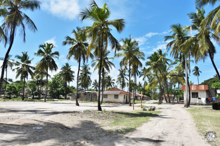 Matemwe Zanzibar: cosa fare e cosa vedere - TRIPINWORLD