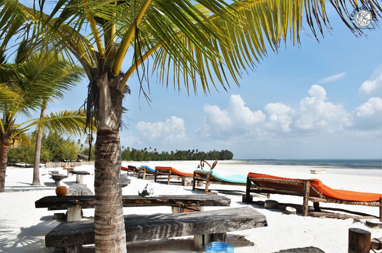 Viaggio a Zanzibar: la penisola di Michamvi - TRIPINWORLD