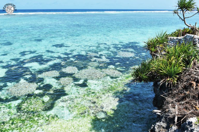 Mtende e la sua baia: un piccolo gioiello zanzibarino - TRIPINWORLD
