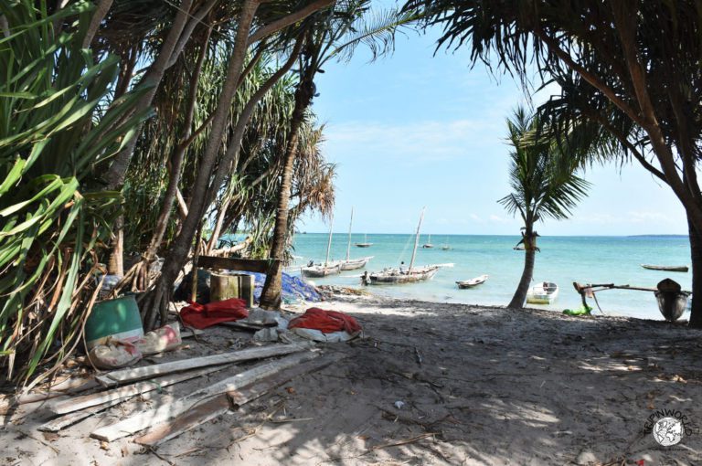 Unguja Ukuu: la capitale antica di Zanzibar - TRIPINWORLD