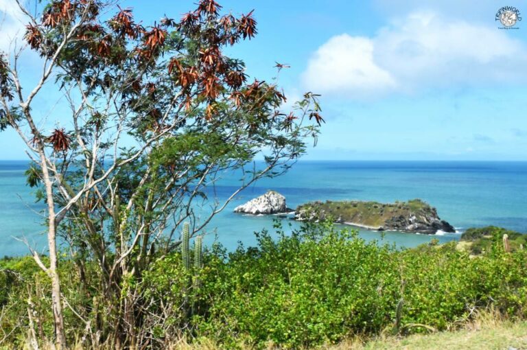Isola del Venezuela: cosa visitare a Isla Margarita - TRIPINWORLD