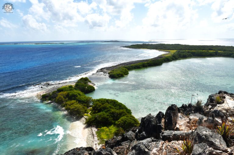 Isola di Gran Roque: viaggio in Venezuela - TRIPINWORLD