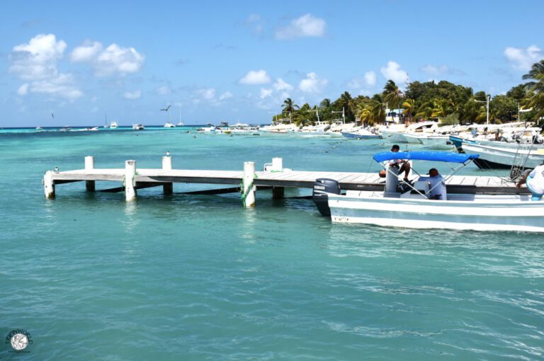 Isola di Gran Roque: viaggio in Venezuela - TRIPINWORLD