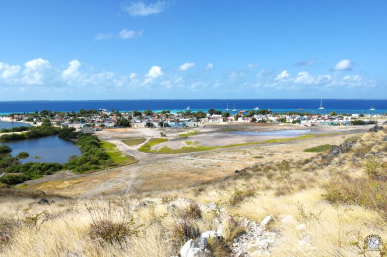 Isola di Gran Roque: viaggio in Venezuela - TRIPINWORLD