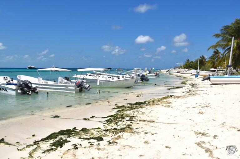 Isola di Gran Roque: viaggio in Venezuela - TRIPINWORLD