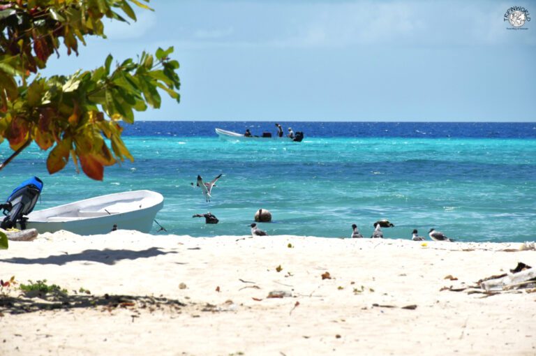 Isola di Gran Roque: viaggio in Venezuela - TRIPINWORLD