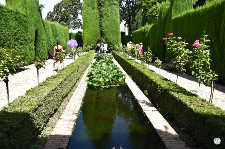 Alhambra di Granada: tesoro di architettura islamica - TRIPINWORLD